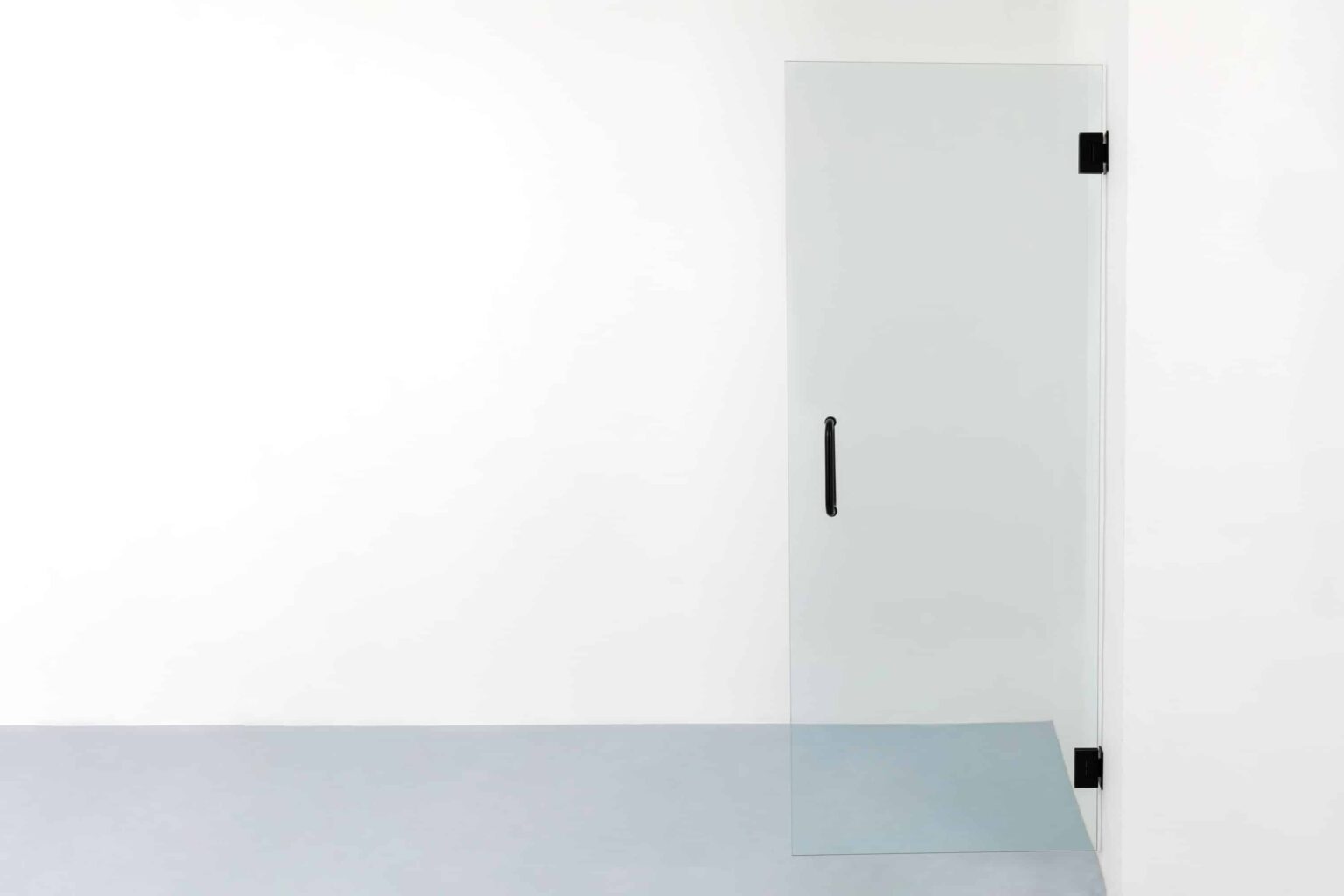 Adjustable Hinged frameless shower door - Apis Glass