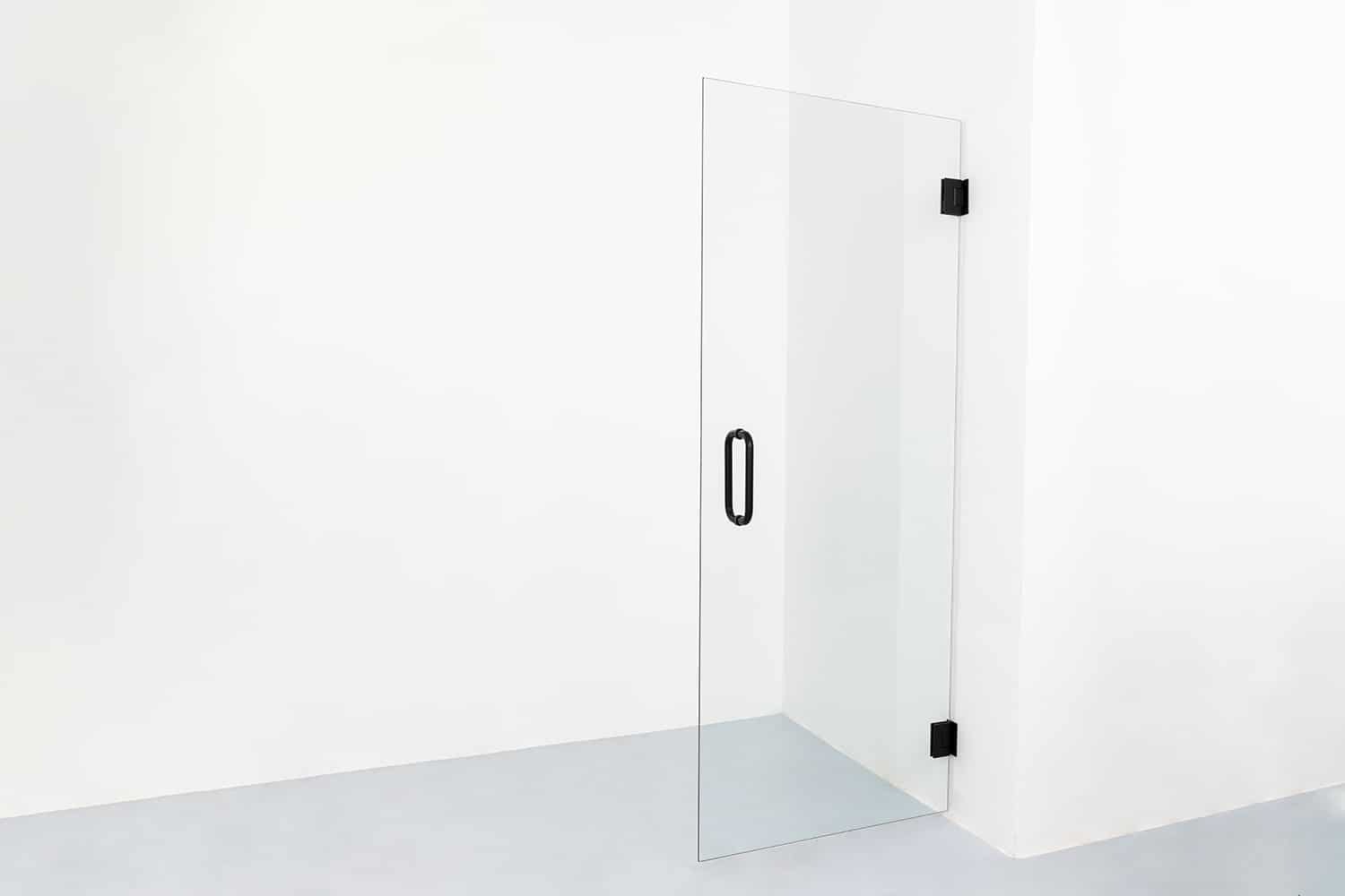 Adjustable Hinged frameless shower door - Apis Glass