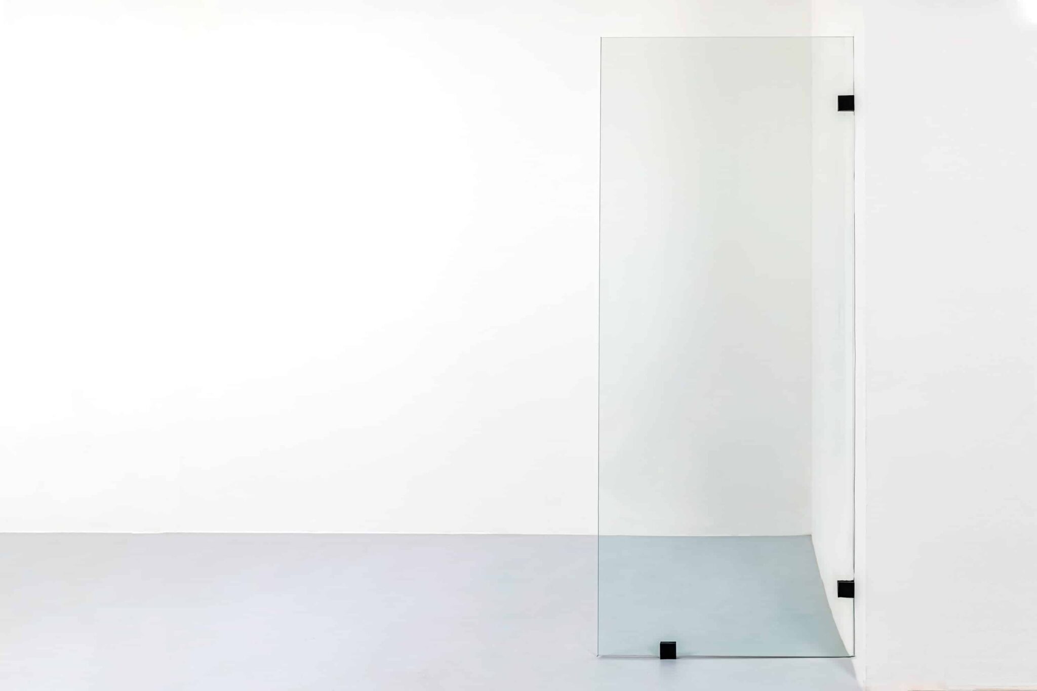 Adjustable Hinged frameless shower door - Apis Glass