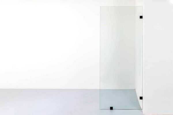 Adjustable Hinged frameless shower door - Apis Glass